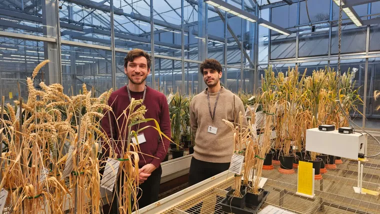 Мідь без шкоди для планети: Лондонський проект дає надію вченим — Sci314 | Наука 314